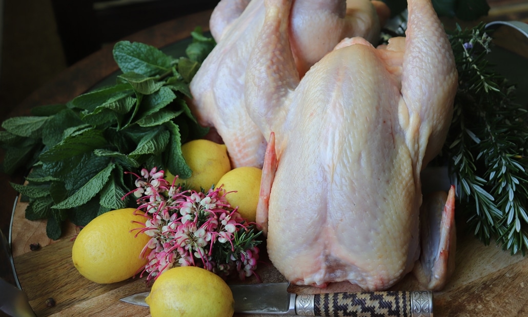 home2 - Grassland Poultry